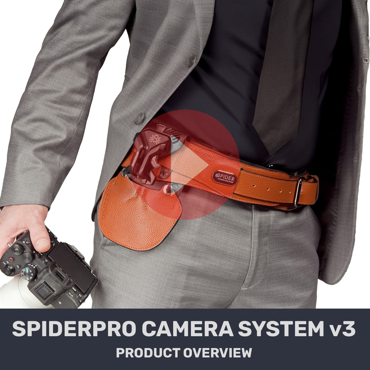 Spider Videos